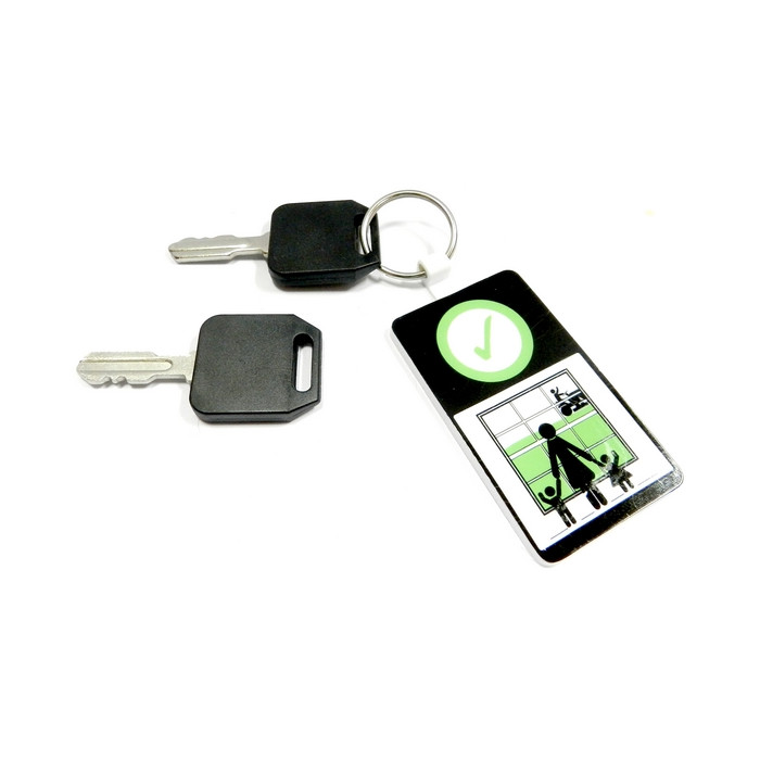 Clé de contact tracteur tondeuse Mc culloch 532411935