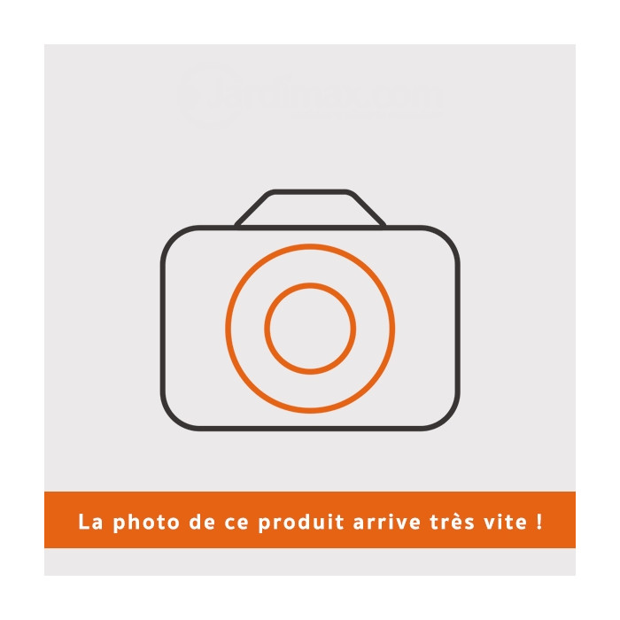 Vis cylindrique de silencieux débroussailleuse Stihl 90754784159